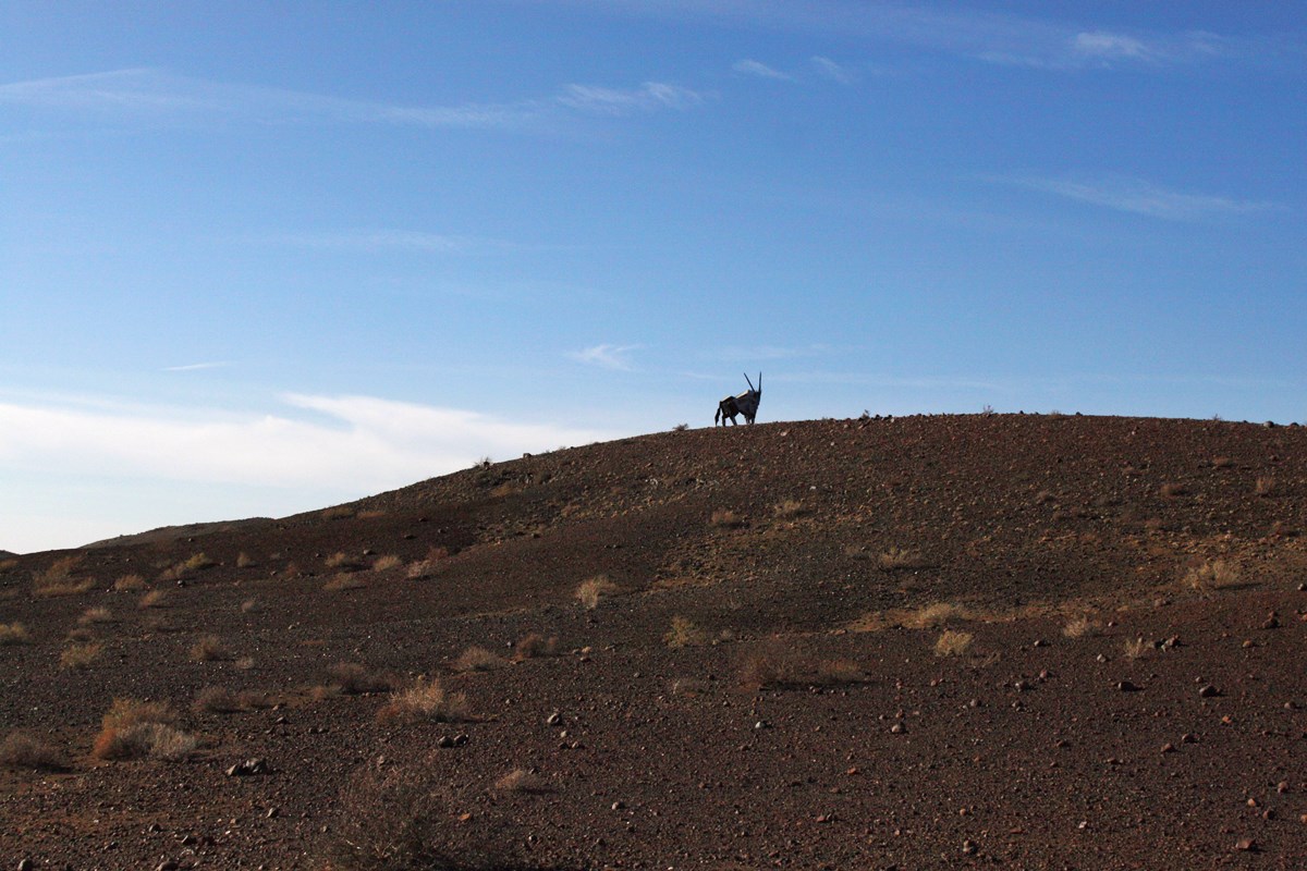 Things to do - Tankwa Tented Camp