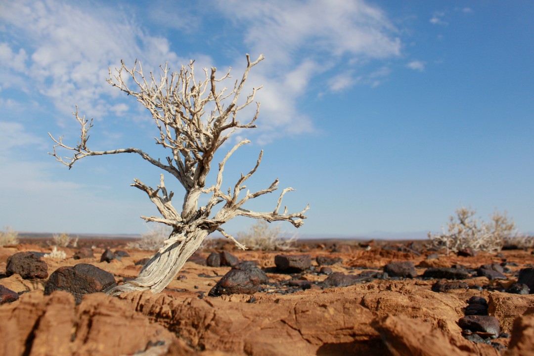 Things to do - Tankwa Tented Camp