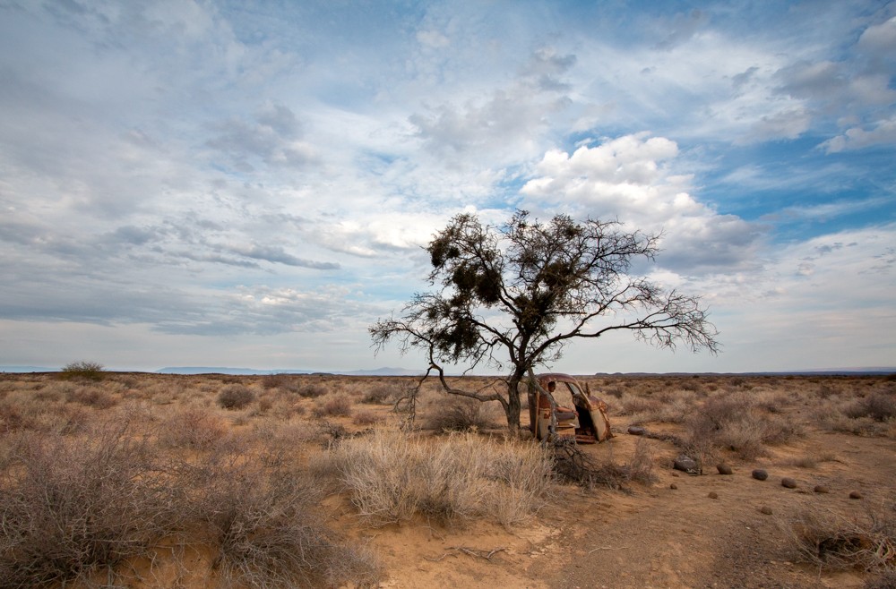 Tankwa Artscape - Tankwa Tented Camp