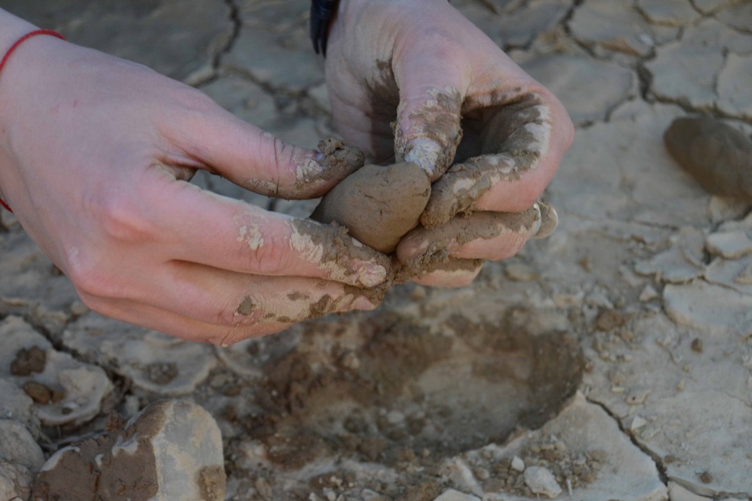 Tankwa Artscape - Tankwa Tented Camp