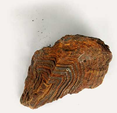 Things to do - Tankwa Tented Camp